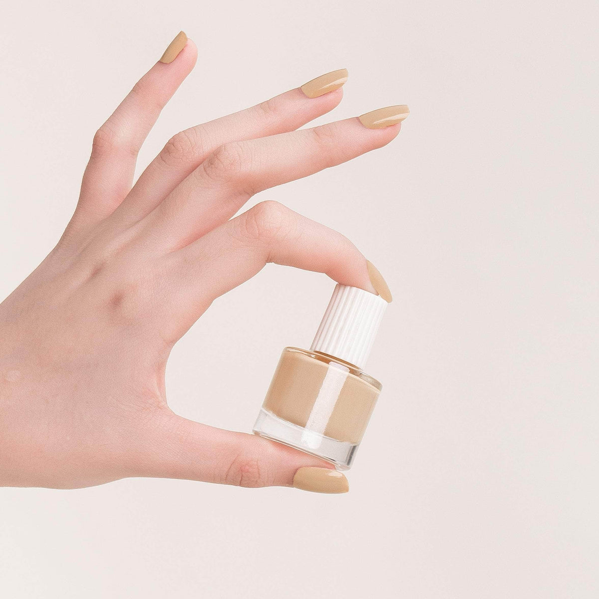 ·Polytint Sundance – Hue