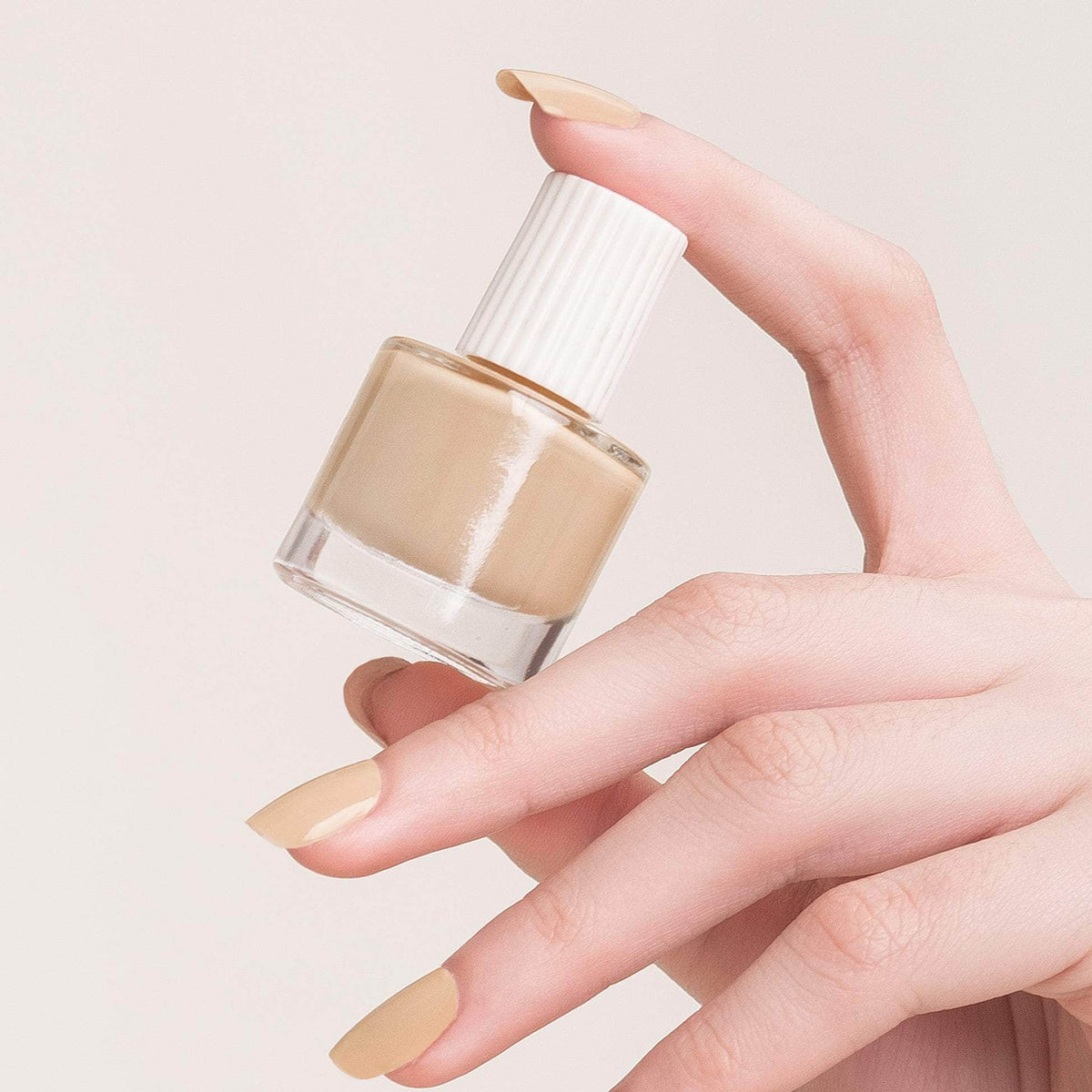 ·Polytint Sundance – Hue