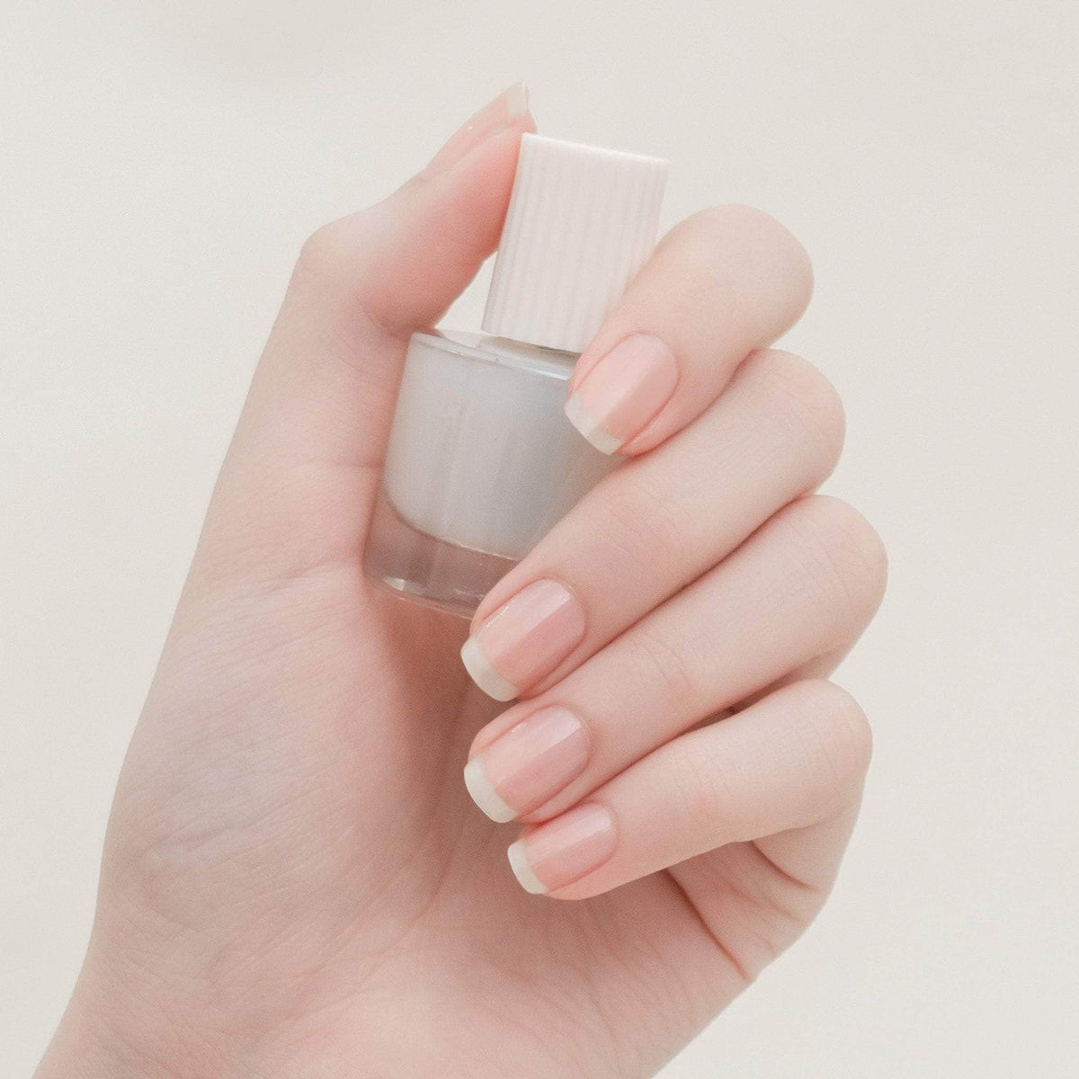 ·Polygloss Timeless – Hue